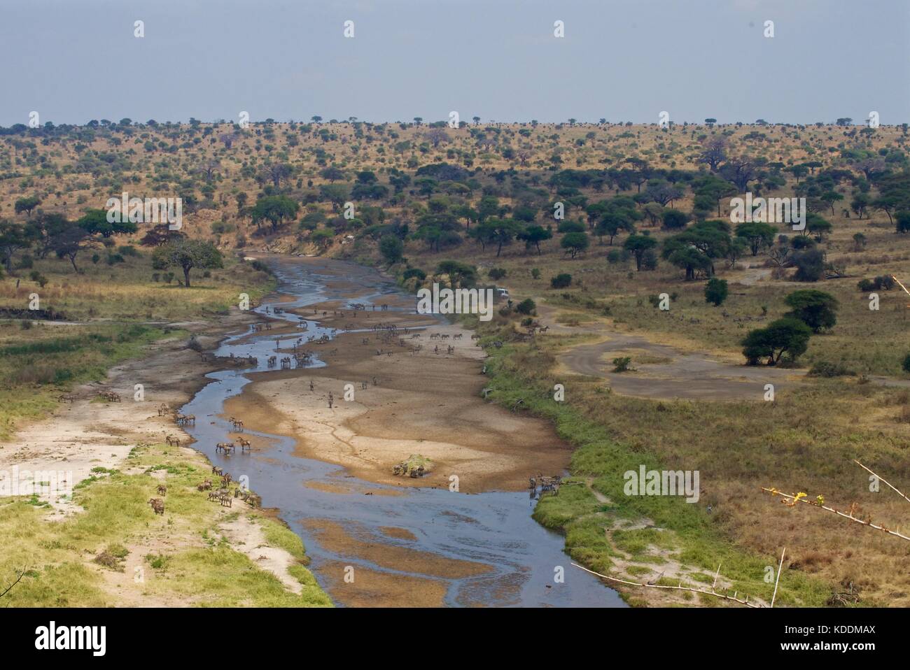 Safari vista, Tarangire National Park, Tanzania Stock Photo - Alamy