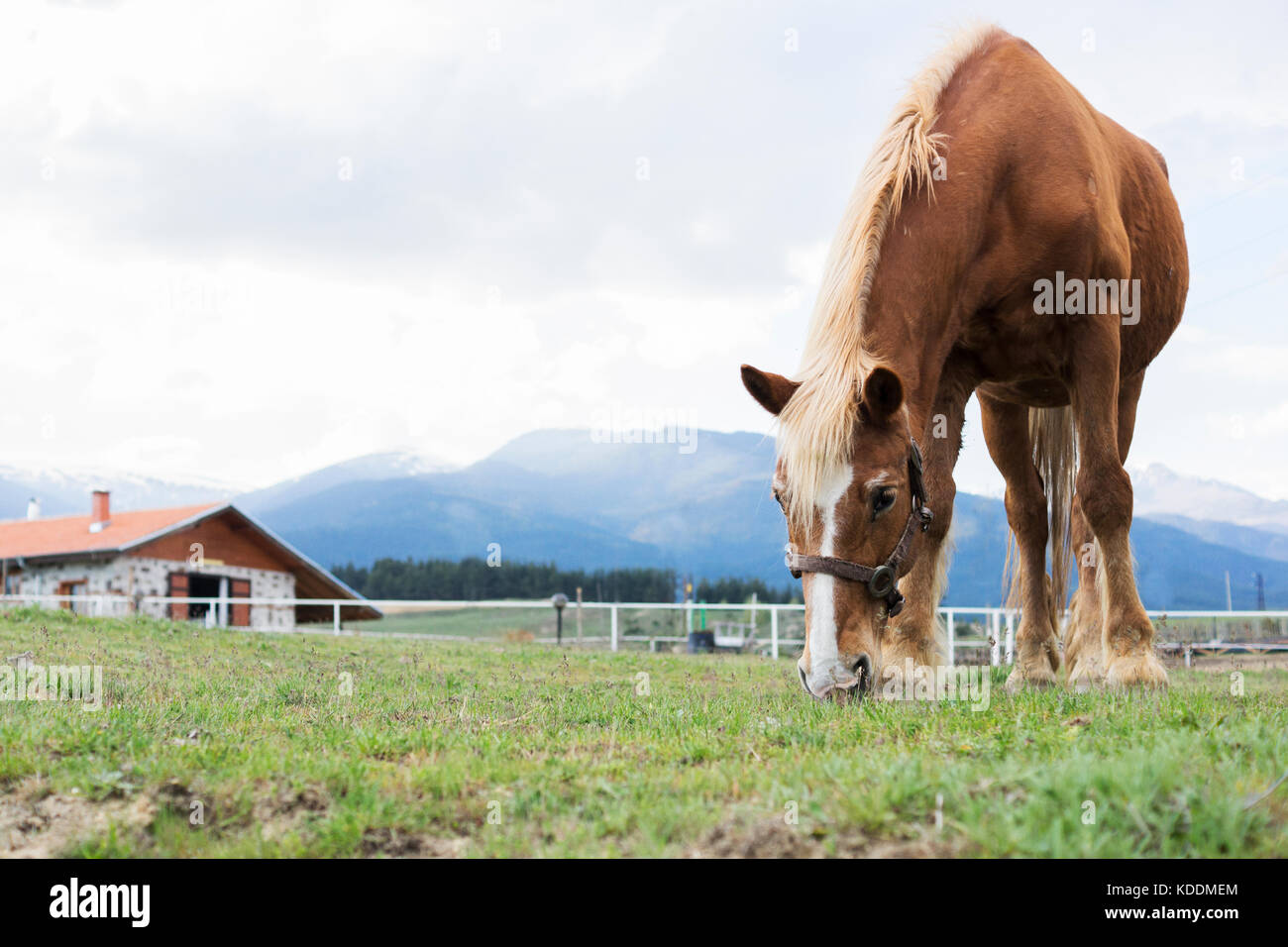 Beautiful pictures of bulgaria hi-res stock photography and images - Alamy