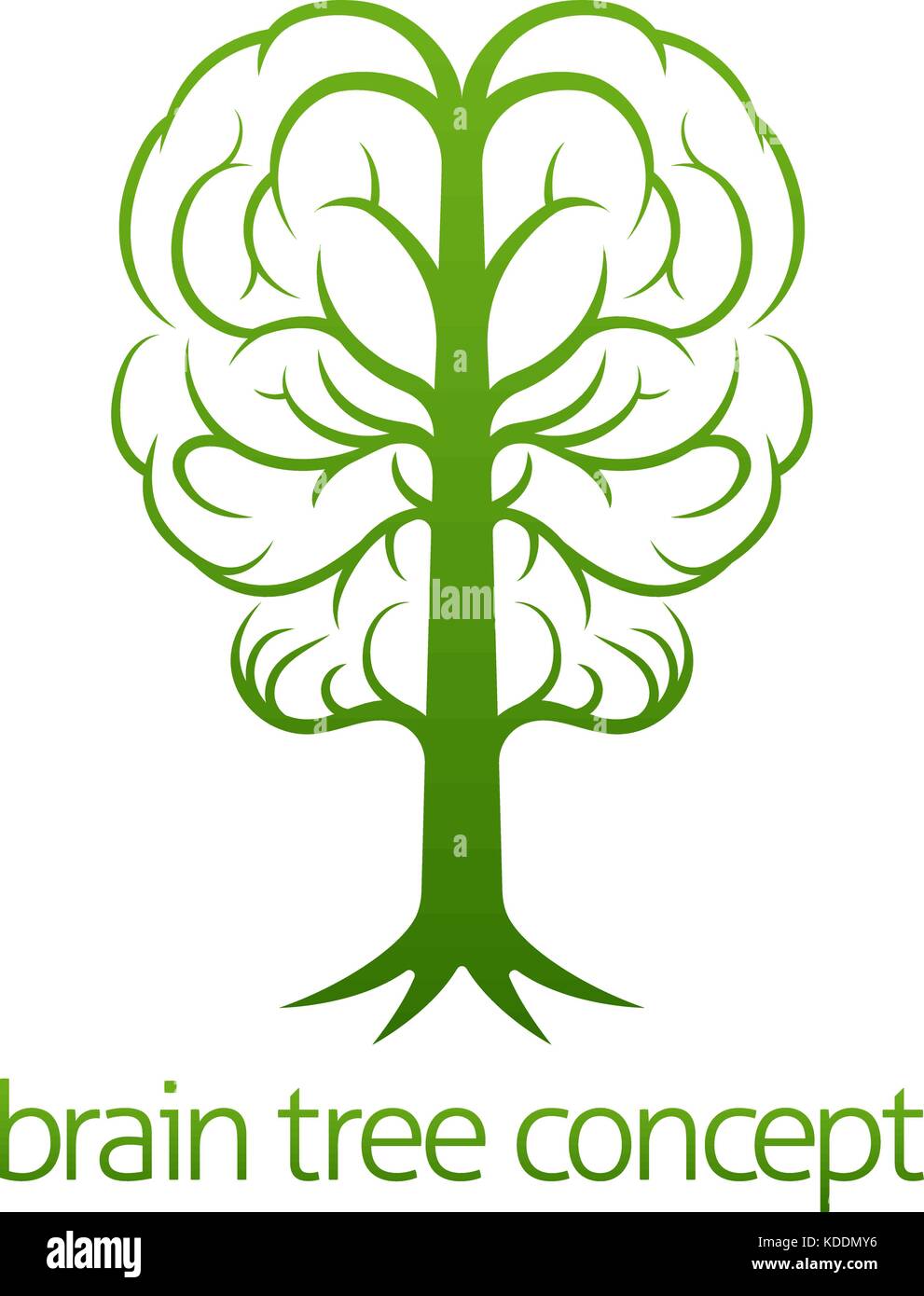 Brain Tree Concept Tree Roots High Resolution Stock Photography and ...