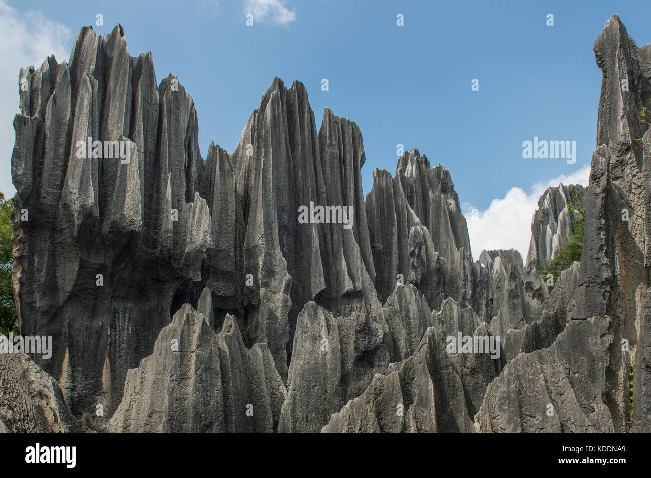 Pinnacle Karst, Greater Stone Forest, Shilin, near Kunming, Yunnan ...