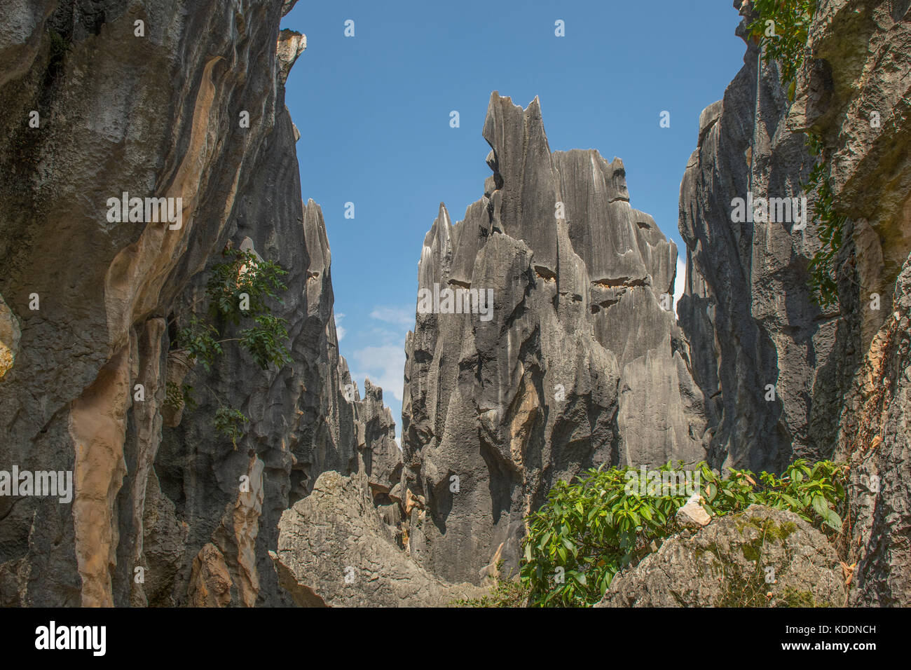 Shilin hi-res stock photography and images - Alamy