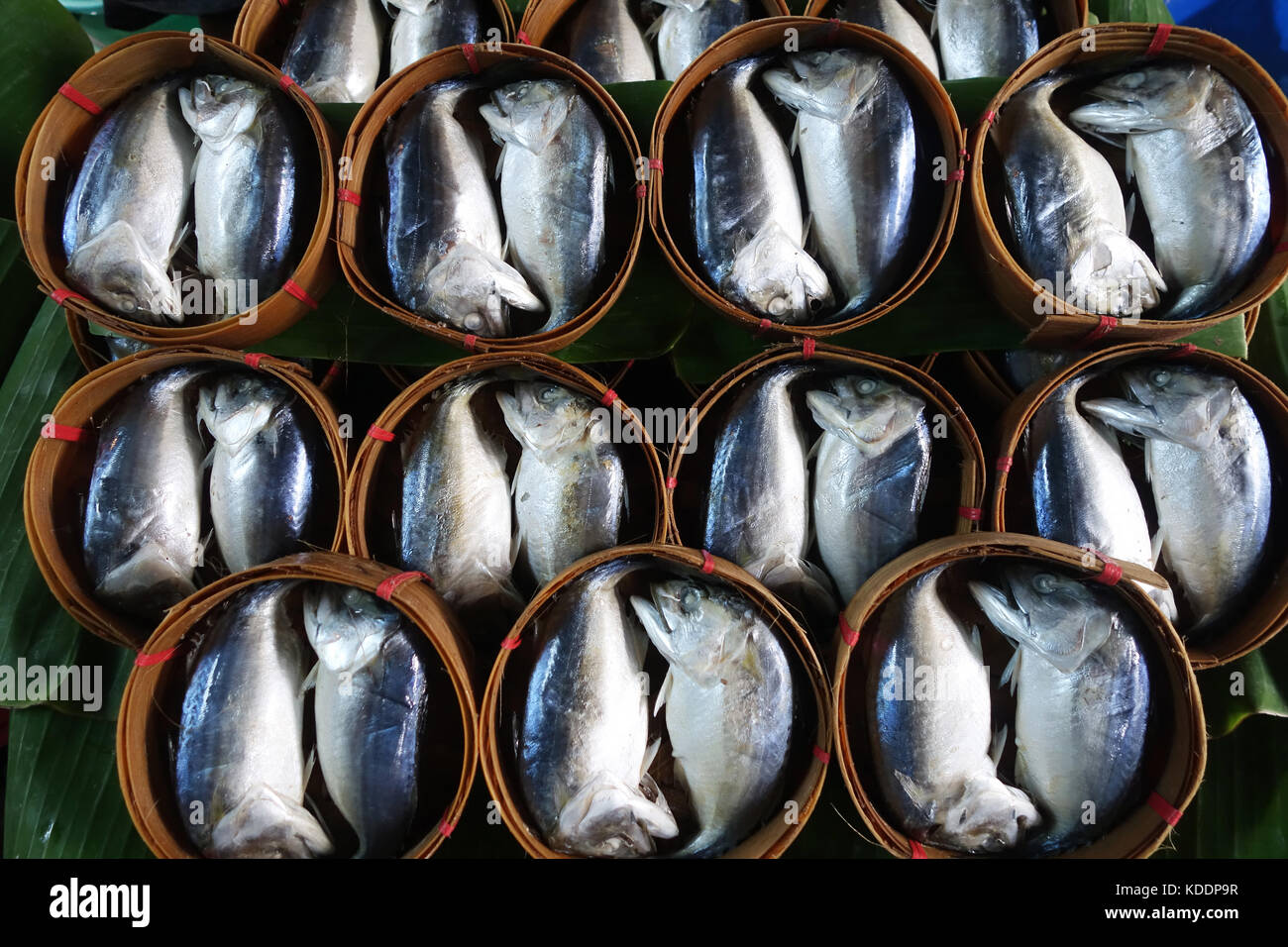 Mae Klong Mackerel fish sold on market, Mea Klong Stock Photo - Alamy