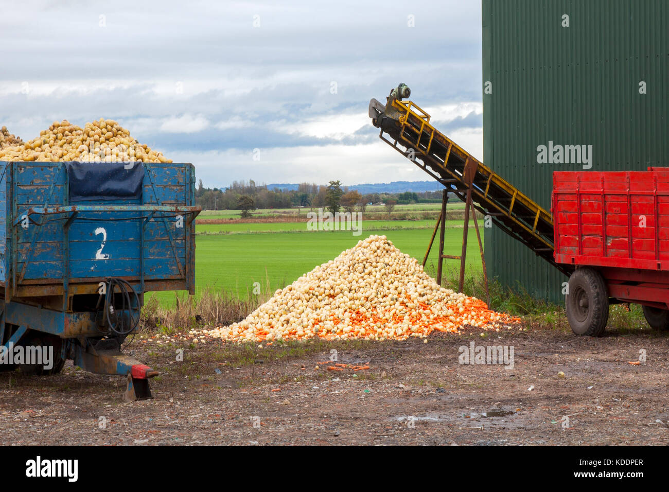 Waste Food, wonky vegetables, deformed, misshapen, malformed, distorted ...