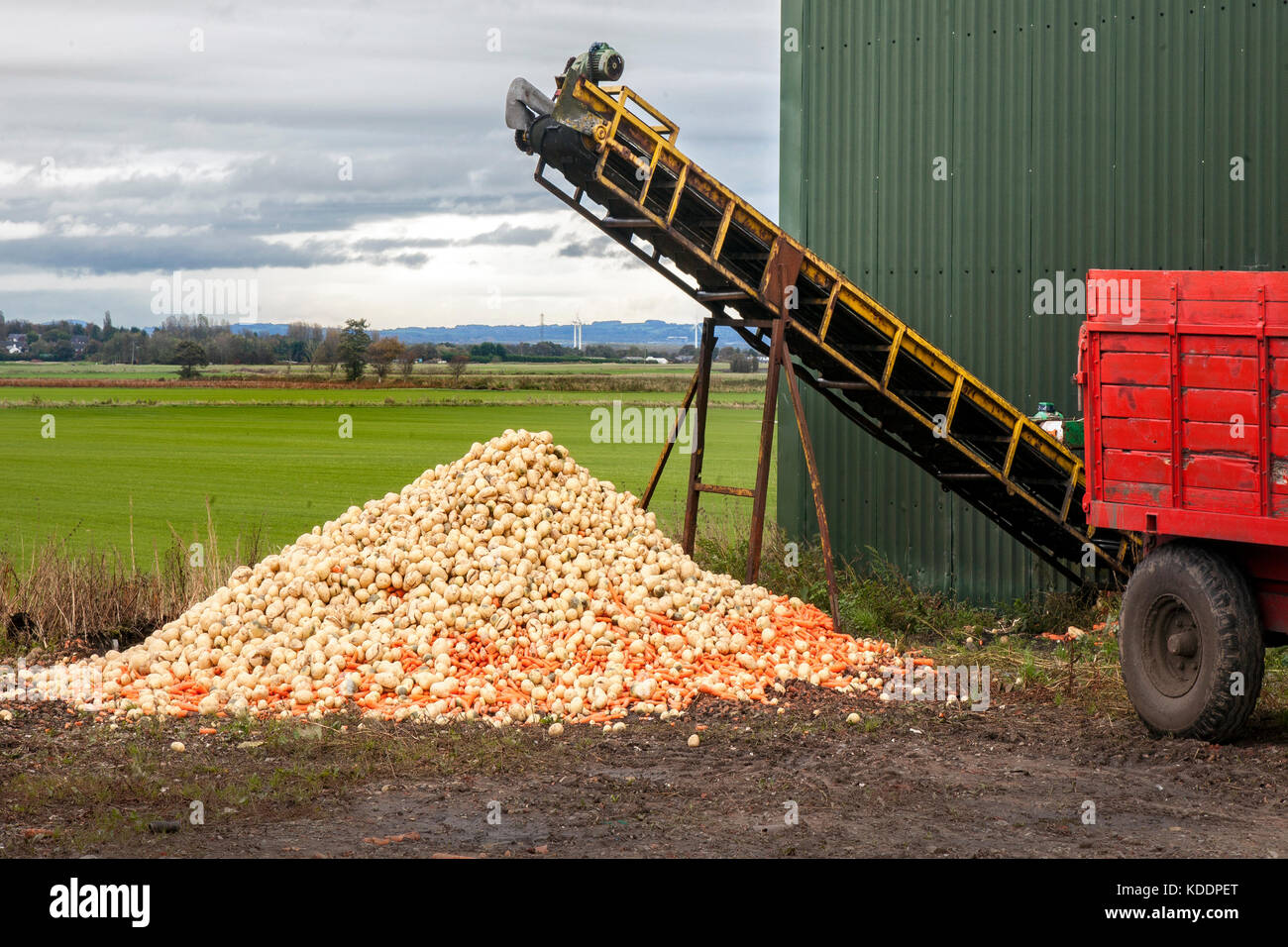 Rejected vegetables uk hi-res stock photography and images - Alamy