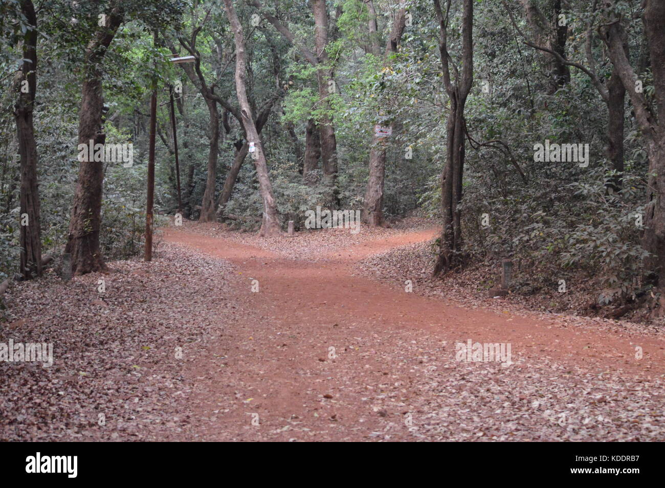 Matheran hill station, Maharshtra, India Stock Photo - Alamy