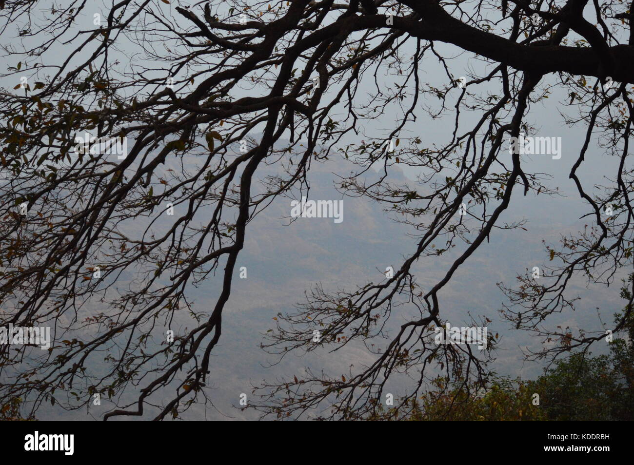 Matheran Hill Station Maharashtra Landscape High Resolution Stock ...