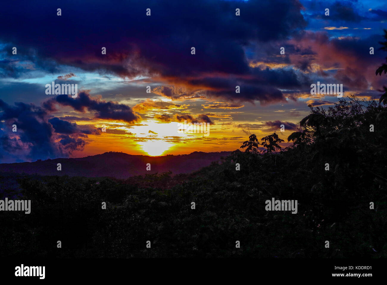 Beautiful colorful sunset above a tropical rainforest in Costa Rica ...