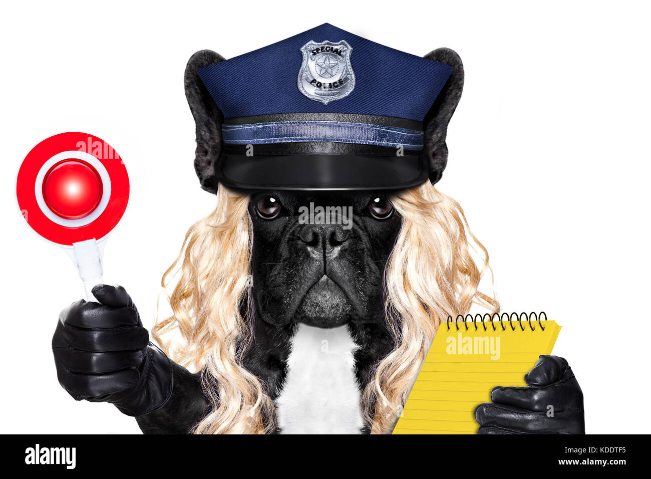 policewoman dog ON DUTY WITH ticket fine and stop sign isolated on ...