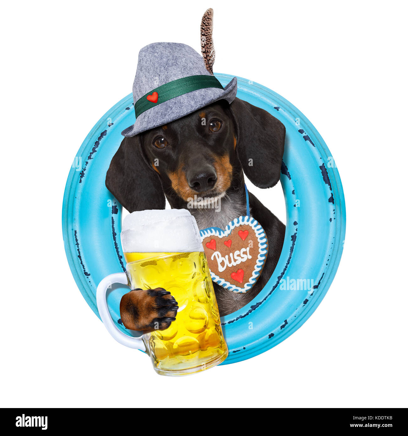bavarian dachshund or sausage dog with gingerbread and beer mug ...