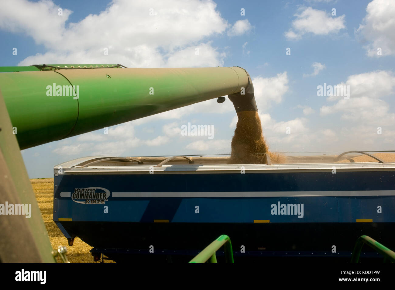 UNLOADING WHEAT FROM COMBINE TO GRAIN BUGGY Stock Photo - Alamy