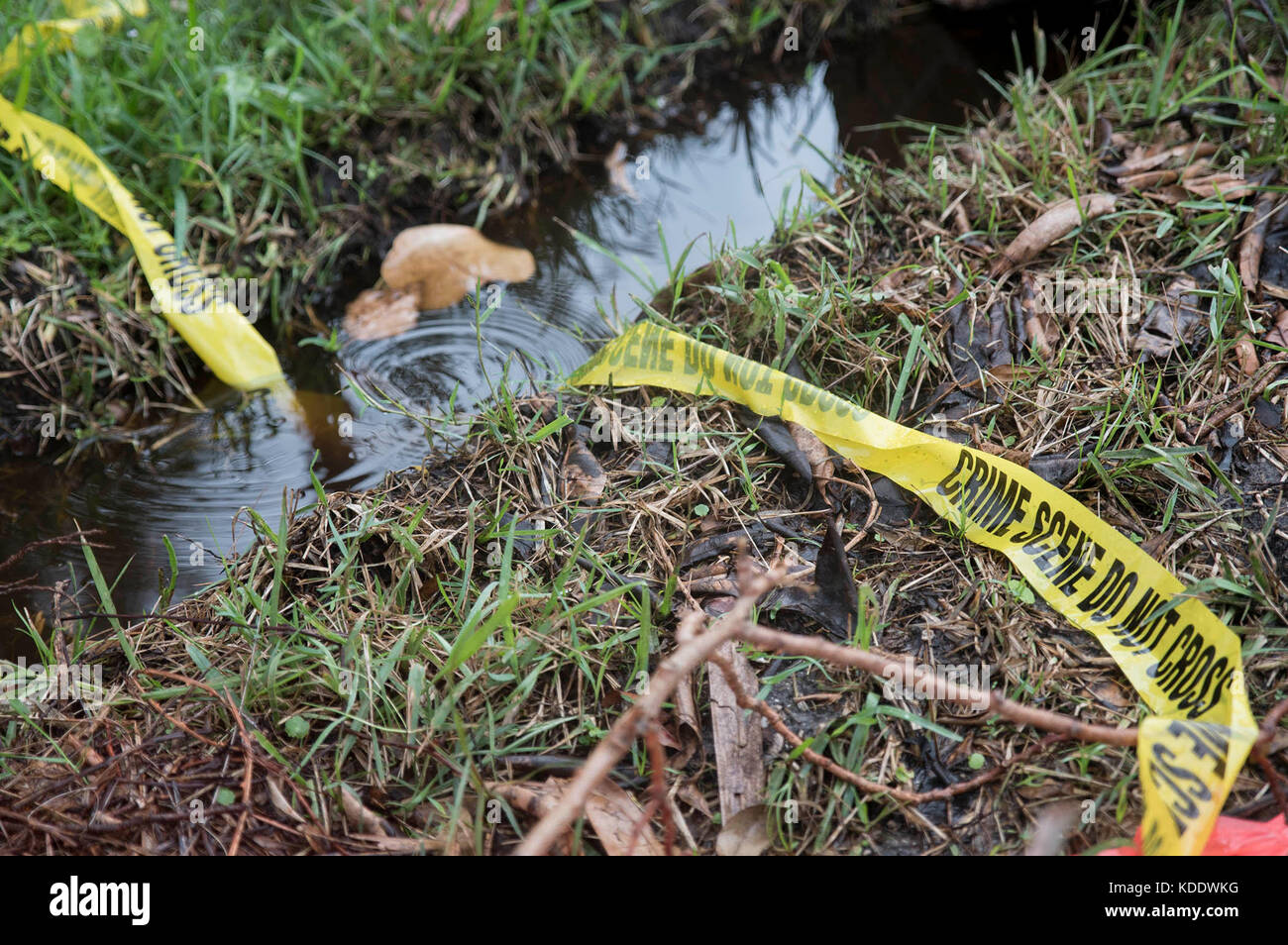 West Palm Beach, Florida, USA. 12th Oct, 2017. Crime scene tape is seen ...