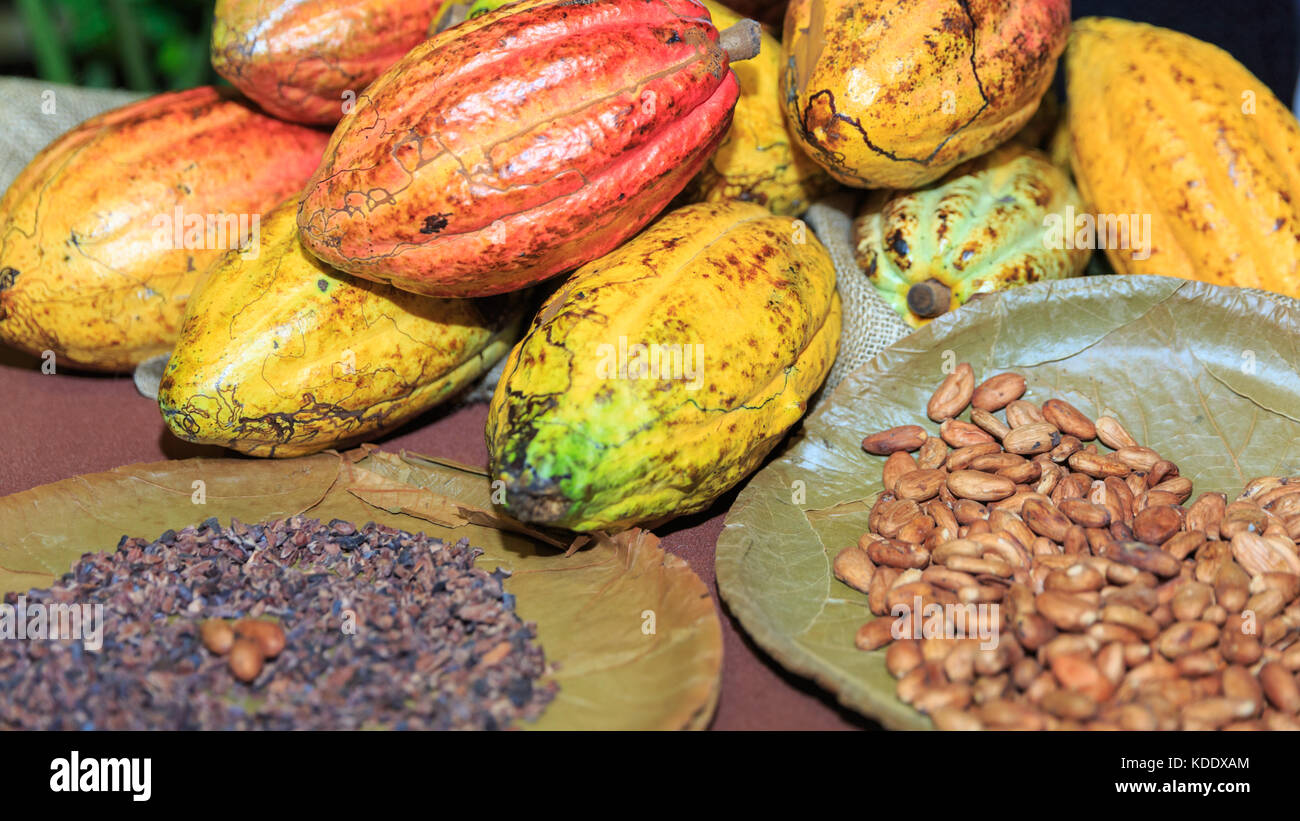 London, UK, 12th Oct 2017. Cocoa beans on display. Opening night of the ...
