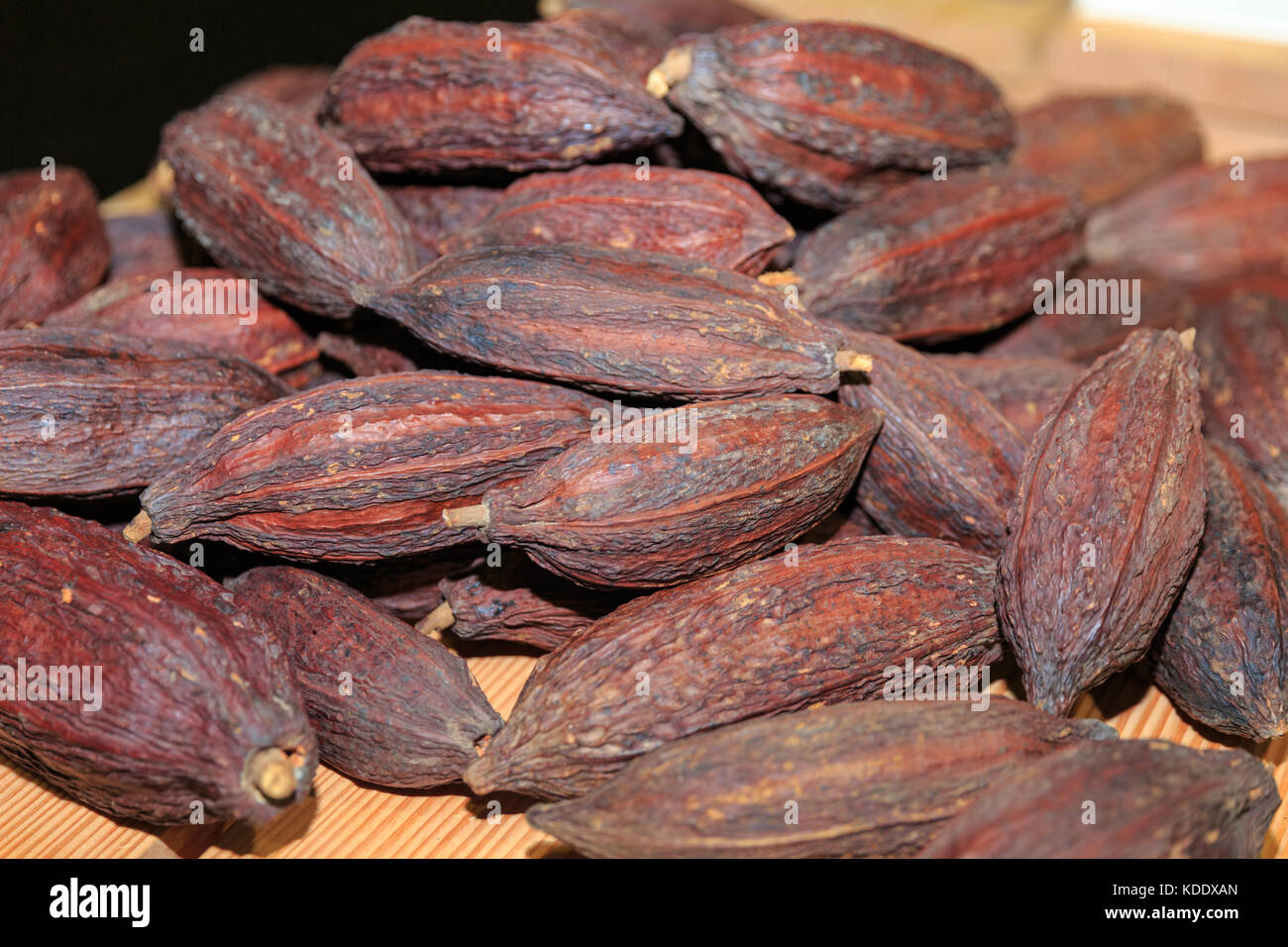 London, UK, 12th Oct 2017. Cocoa beans on display. Opening night of the ...