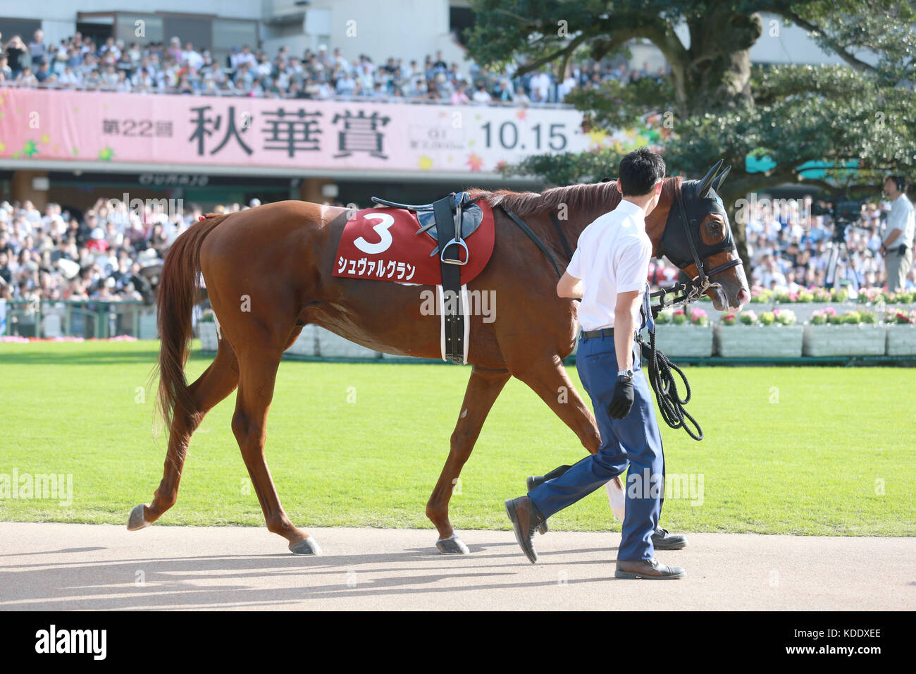 Kyoto, Japan. 9th Oct, 2017. Cheval Grand Horse Racing : Cheval Grand ...