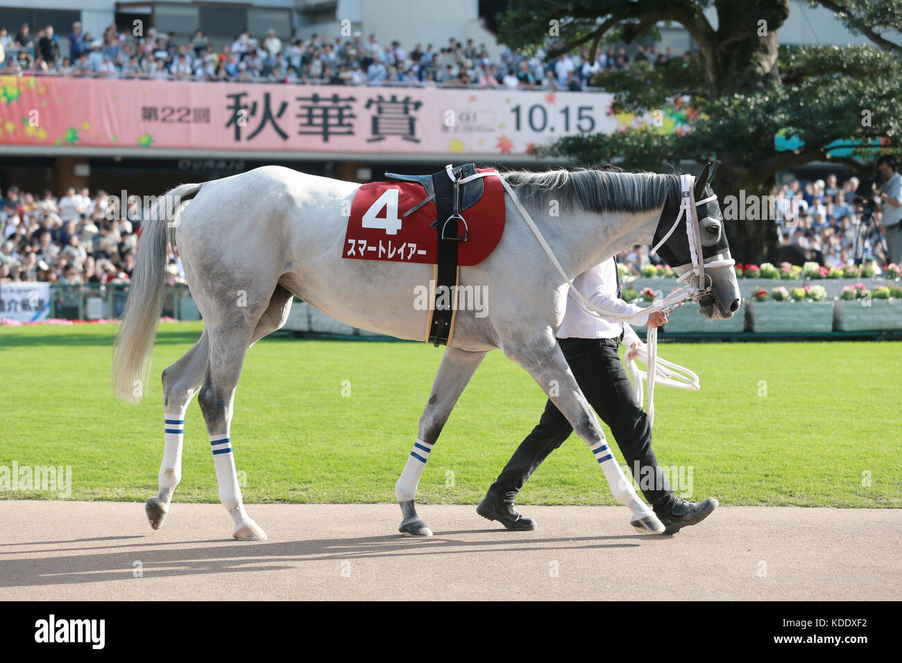 Kyoto, Japan. 9th Oct, 2017. Smart Layer Horse Racing : Smart Layer is ...