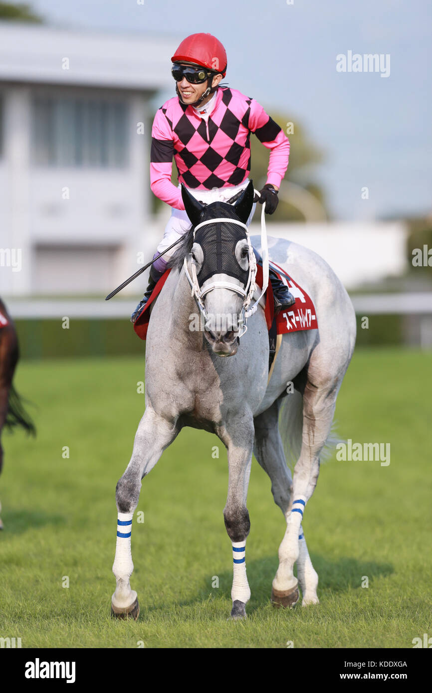 Kyoto, Japan. 9th Oct, 2017. Smart Layer (Yutaka Take) Horse Racing ...