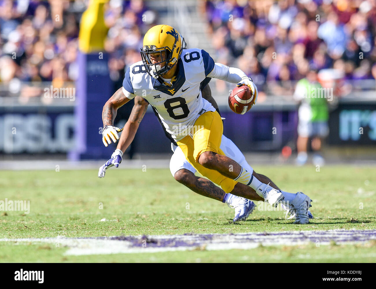 Marcus amón hi-res stock photography and images - Alamy