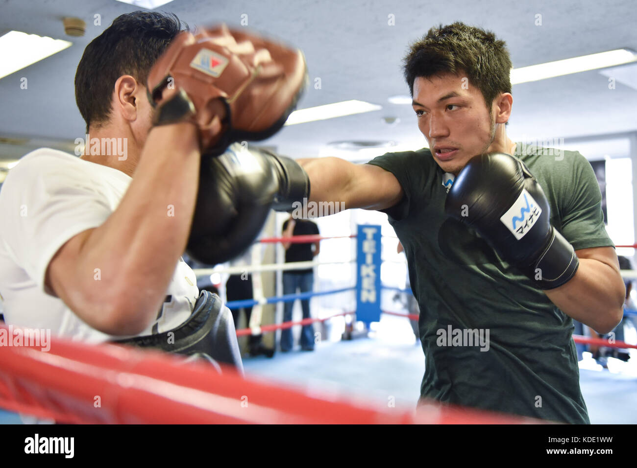 Tokyo, Japan. 12th Oct, 2017. Sendai Tanaka, Ryota Murata (JPN) Boxing ...