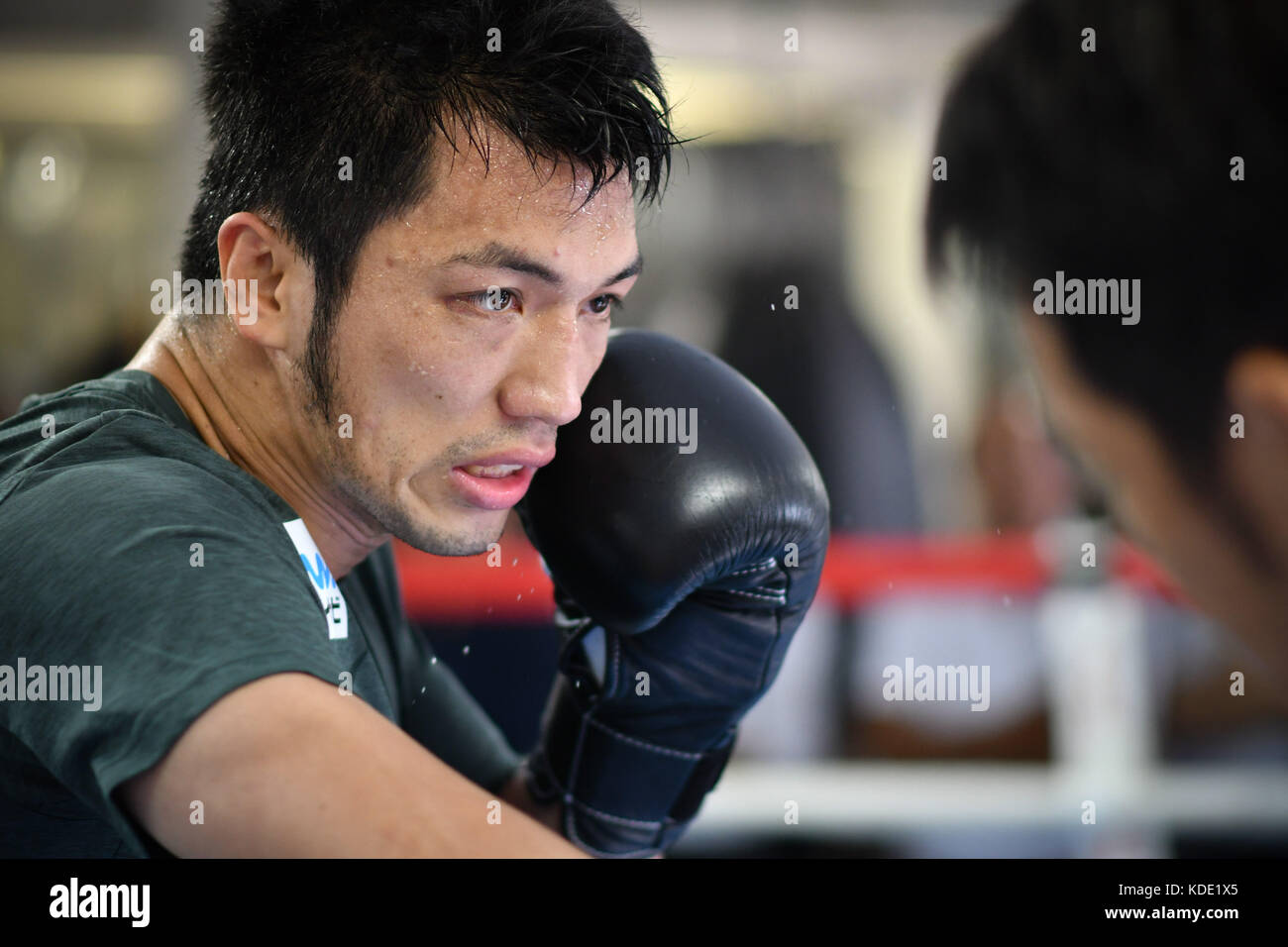 Tokyo, Japan. 12th Oct, 2017. Ryota Murata (JPN) Boxing : Ryota Murata ...