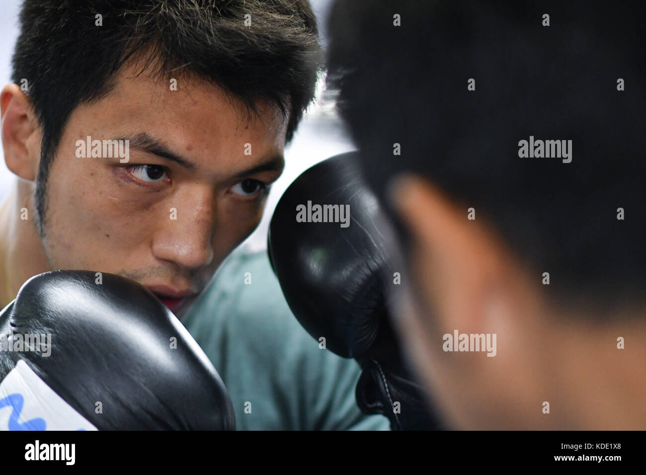 Tokyo, Japan. 12th Oct, 2017. Ryota Murata (JPN) Boxing : Ryota Murata ...