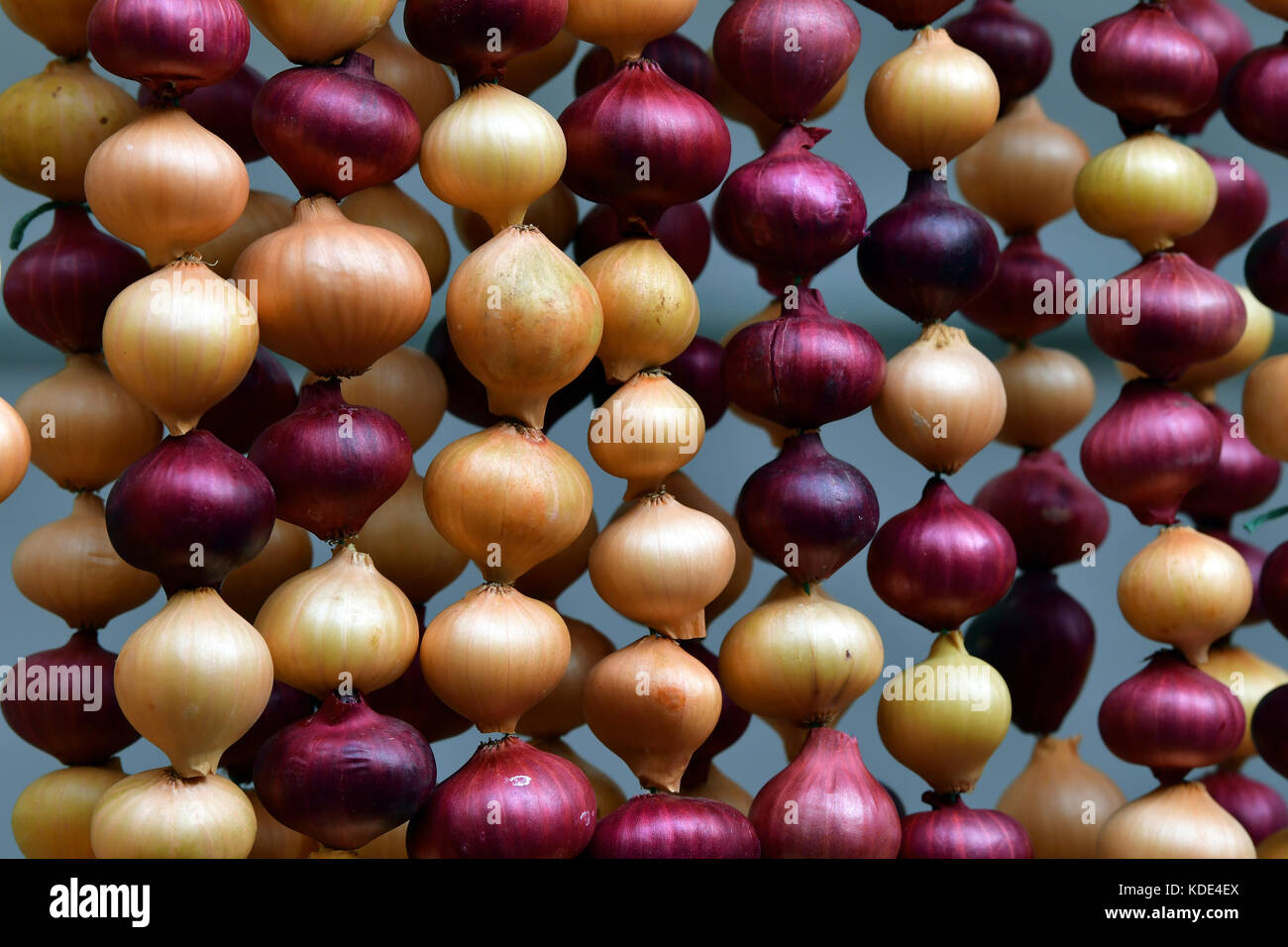 Weimar, Germany. 13th Oct, 2017. Onion chains can be seen at a market ...