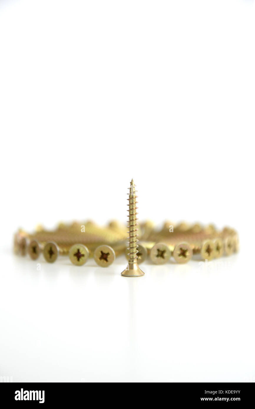 Circle of brass screws on a white background with one standing out in ...