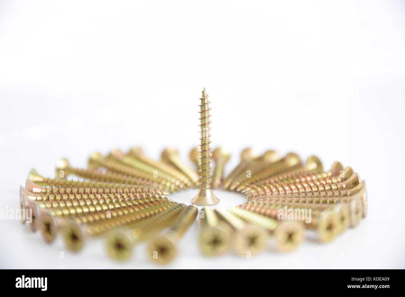 Circle of brass screws on white background with one odd man out Stock ...