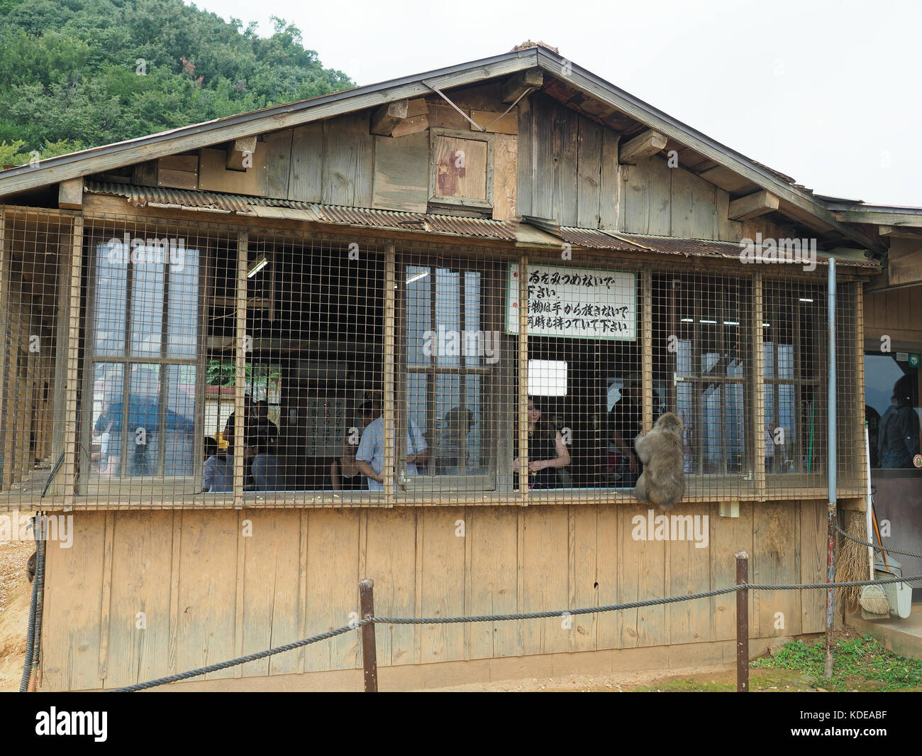 View of the Iwatayama Monkey Park at Arashiyama in Kyoto Japan Stock ...