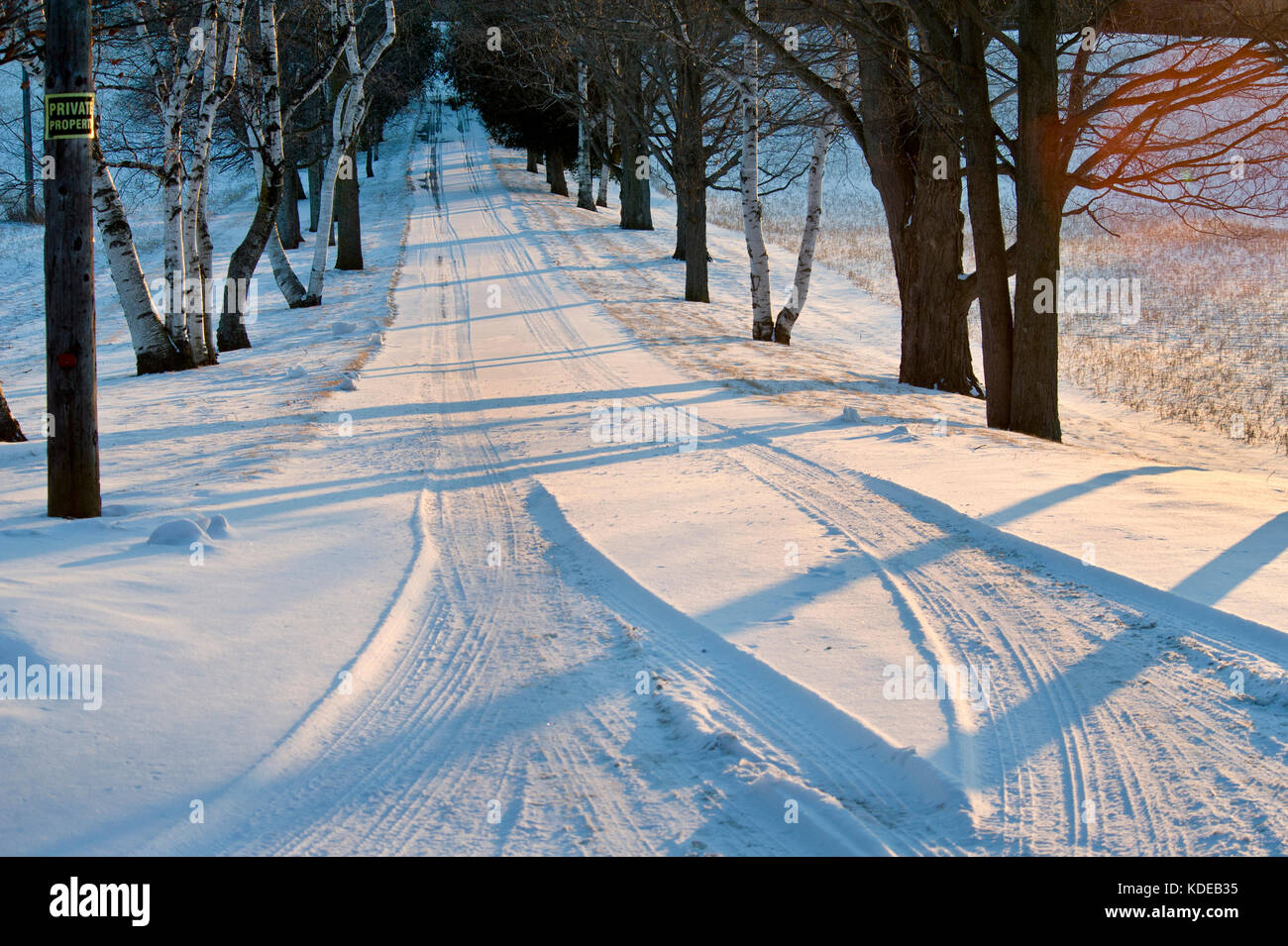 private drive in countryside covered with snow Stock Photo - Alamy