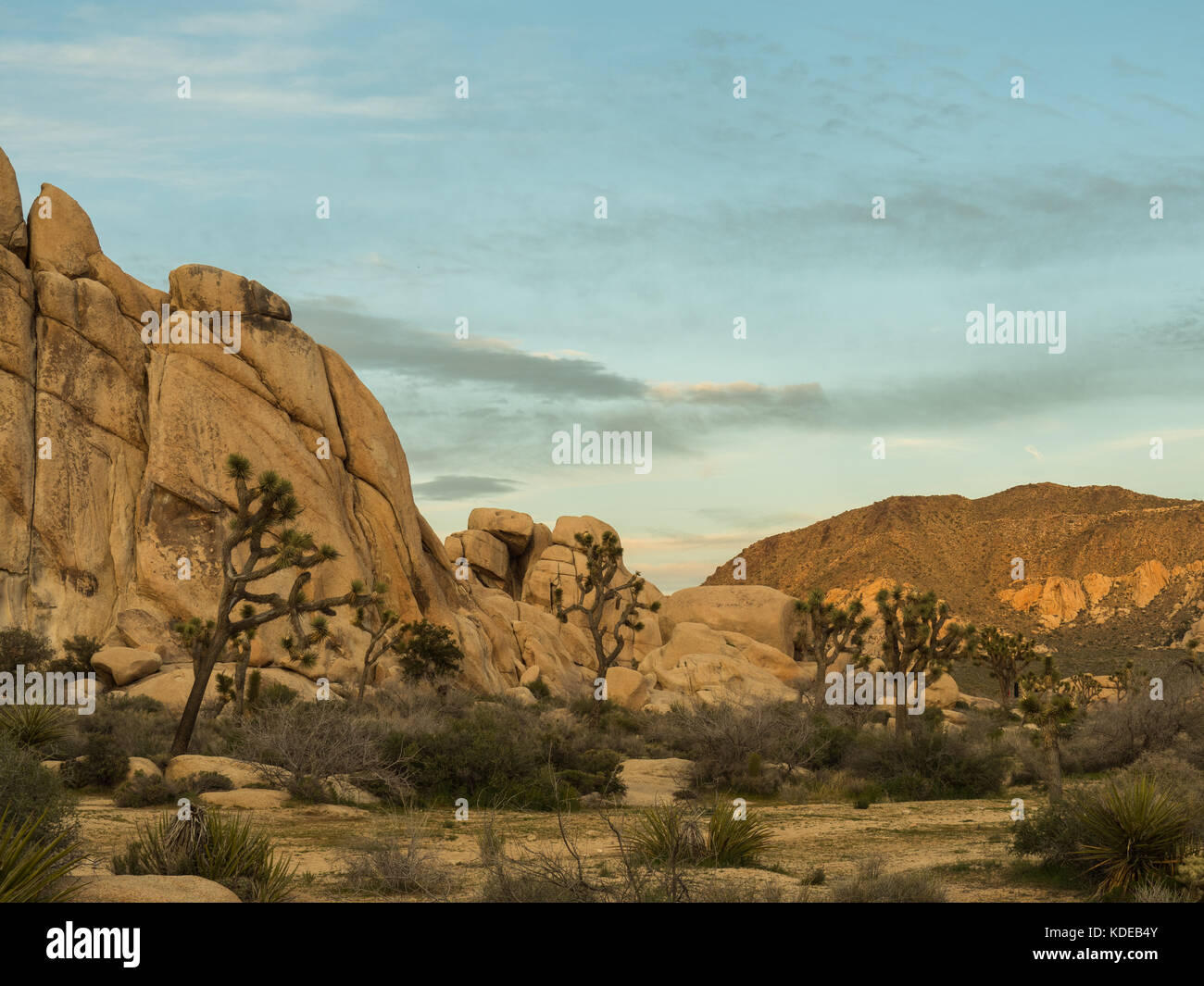 View of Hidden Valley from a hiking trail in Joshua Tree National Park ...