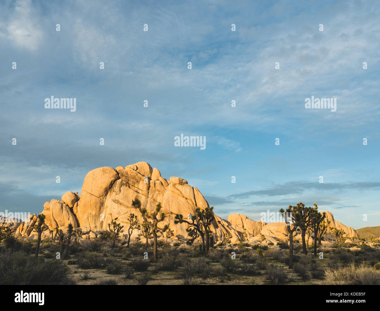 View of Hidden Valley from a hiking trail in Joshua Tree National Park ...