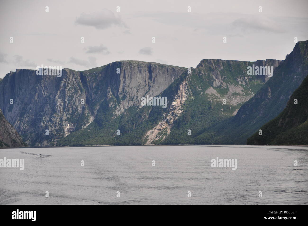 Historic rock fall along the steep bedrock walls of Western Brook Pond ...