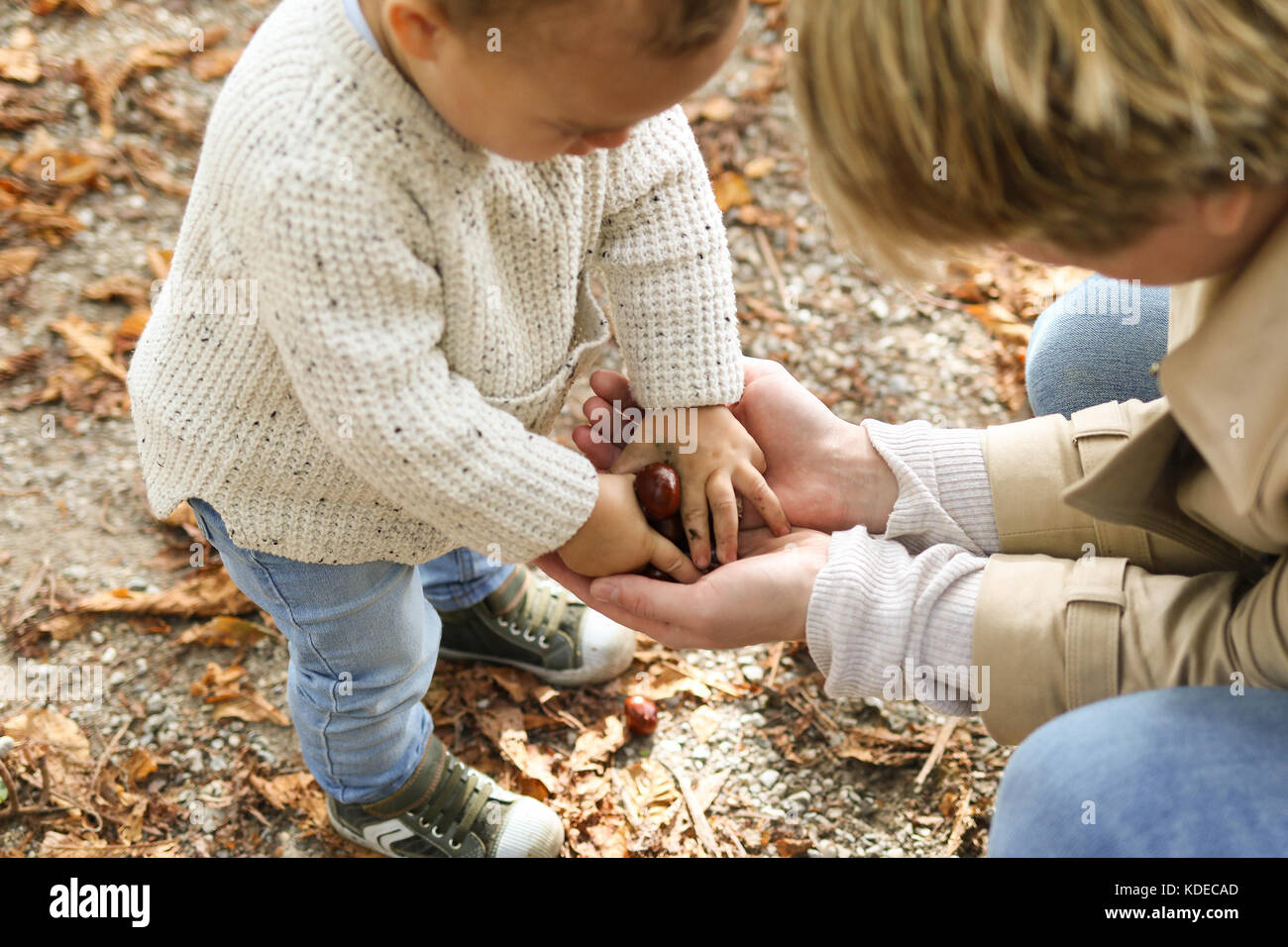 Family playing outside in fall Stock Photo - Alamy
