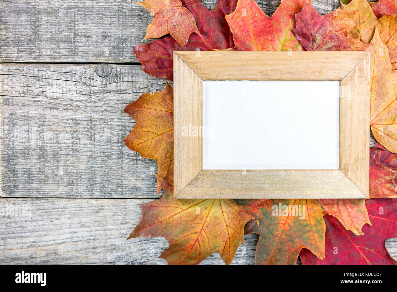 empty photo frame and colorful autumn dry leaves on grunge wooden ...