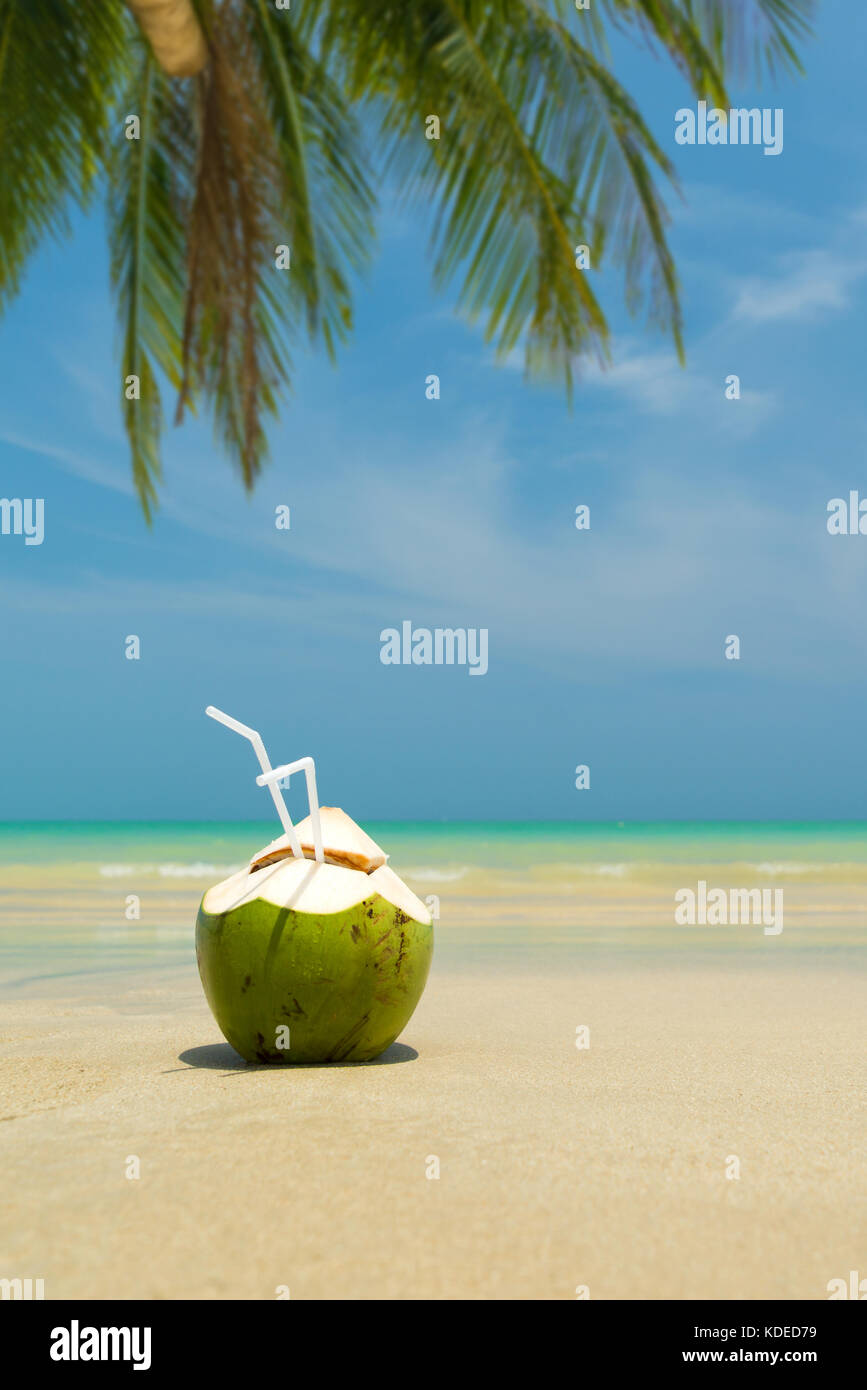 Fresh young coconut lying on the sand beach background with straw ready ...