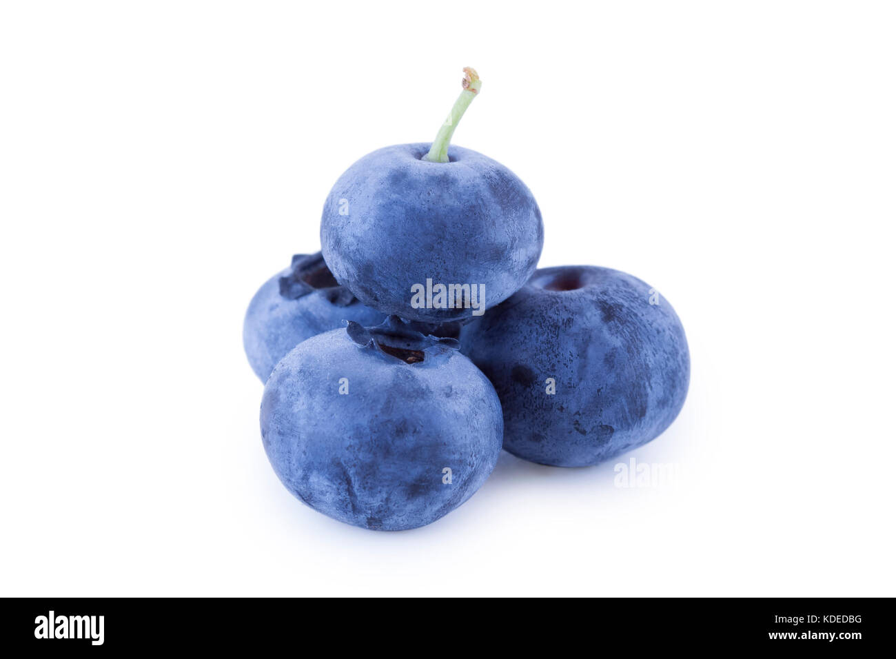 Four blueberries isolated on white background, fruits closeup Stock ...