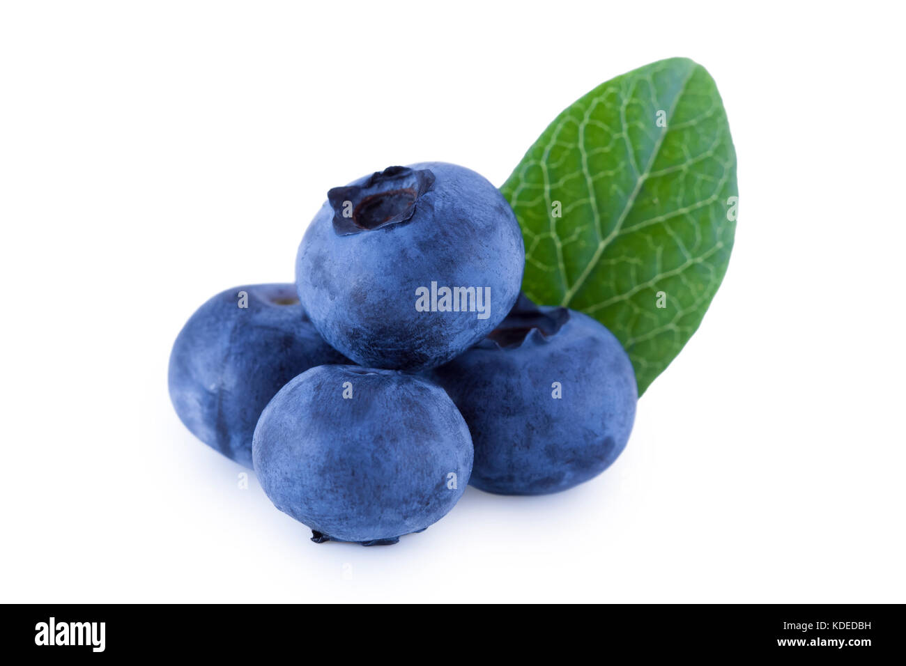 Four blueberries isolated on white background, fruits closeup Stock ...