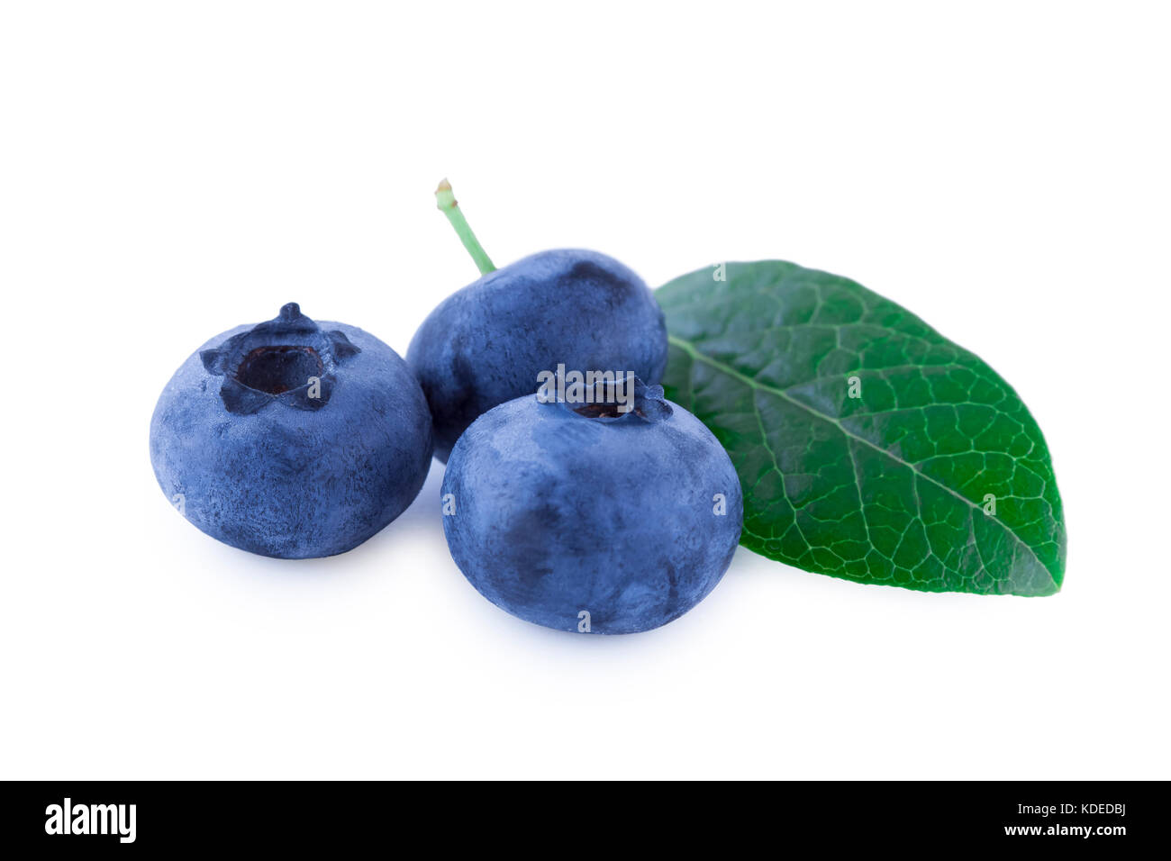 Three blueberries isolated on white background, fruits closeup Stock ...