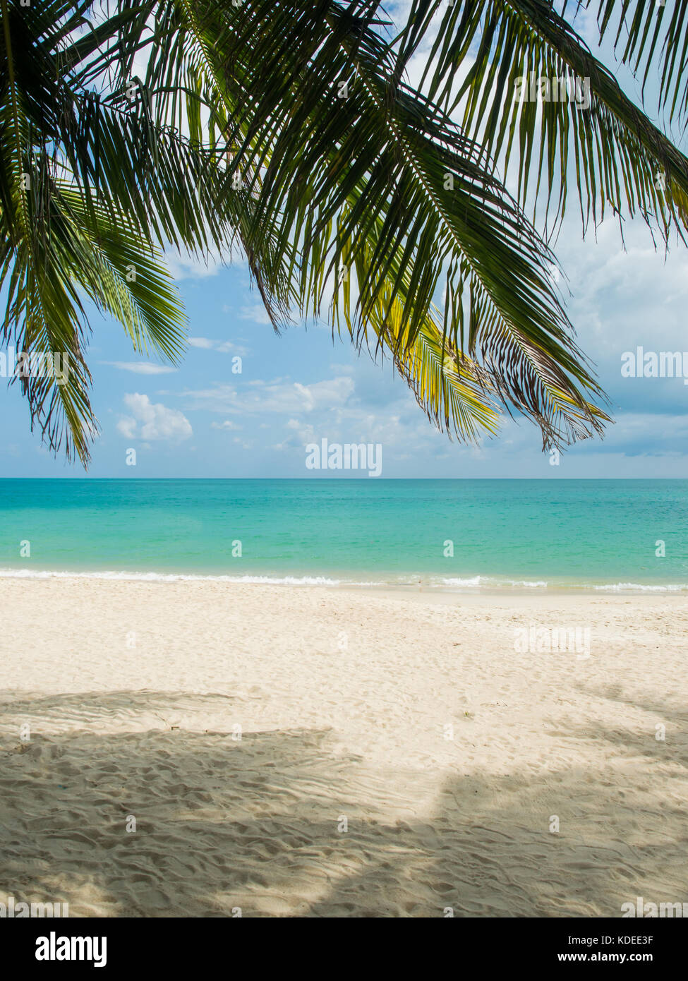 Beautiful tropical beach with coconut trees Stock Photo - Alamy