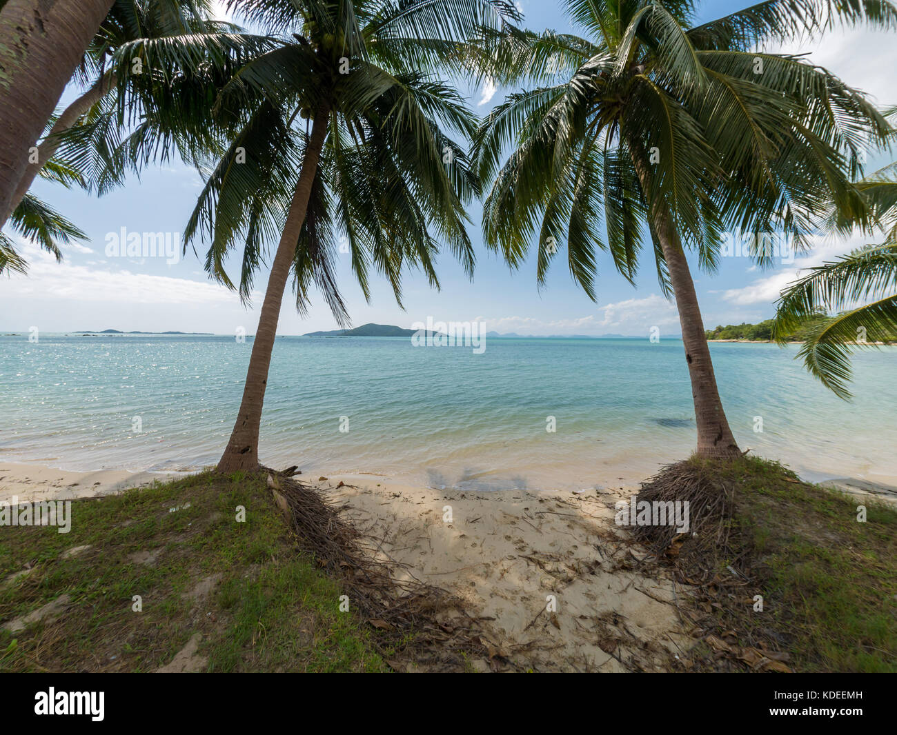 Beautiful tropical beach with coconut trees Stock Photo - Alamy