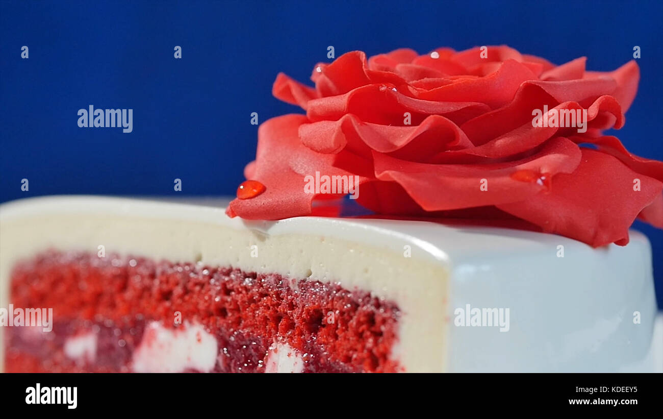 White cake with chocolate ornaments and red marzipan rose on dark blue ...