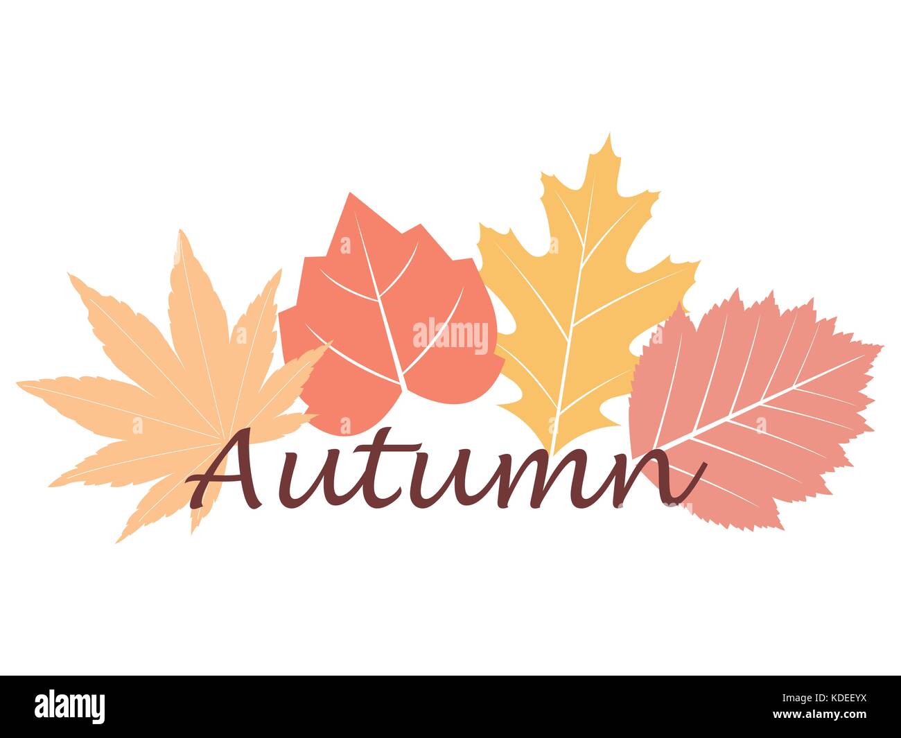 Autumn fall writing Stock Vector Image & Art - Alamy