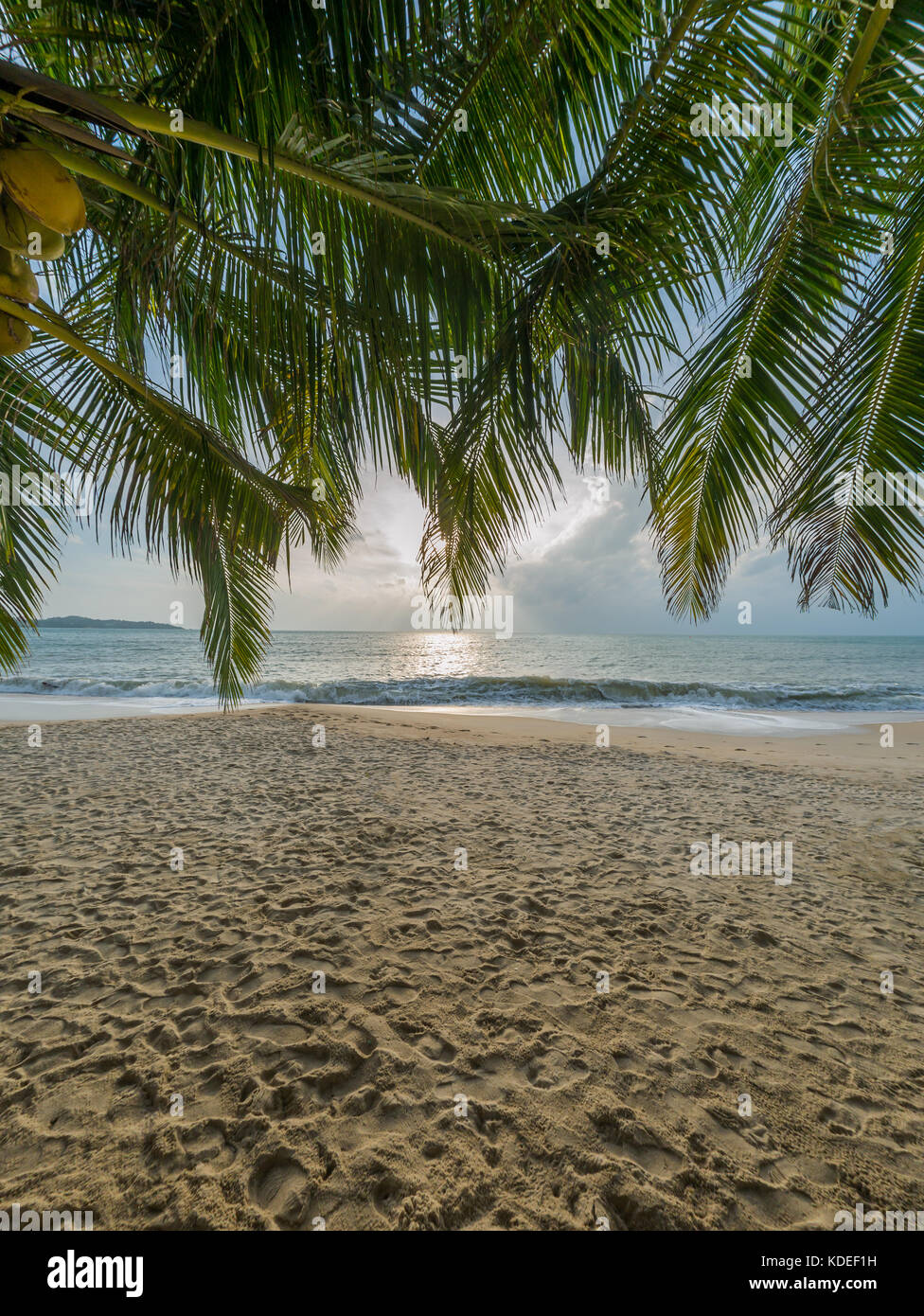 Beautiful tropical beach with coconut trees Stock Photo - Alamy