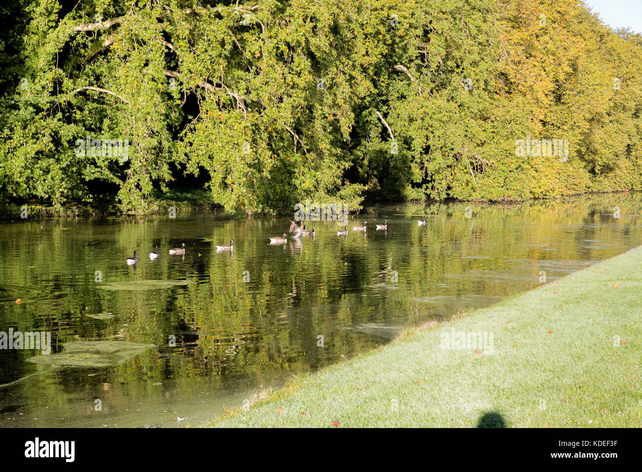 lights and colors in park of rambouillet, france Stock Photo - Alamy