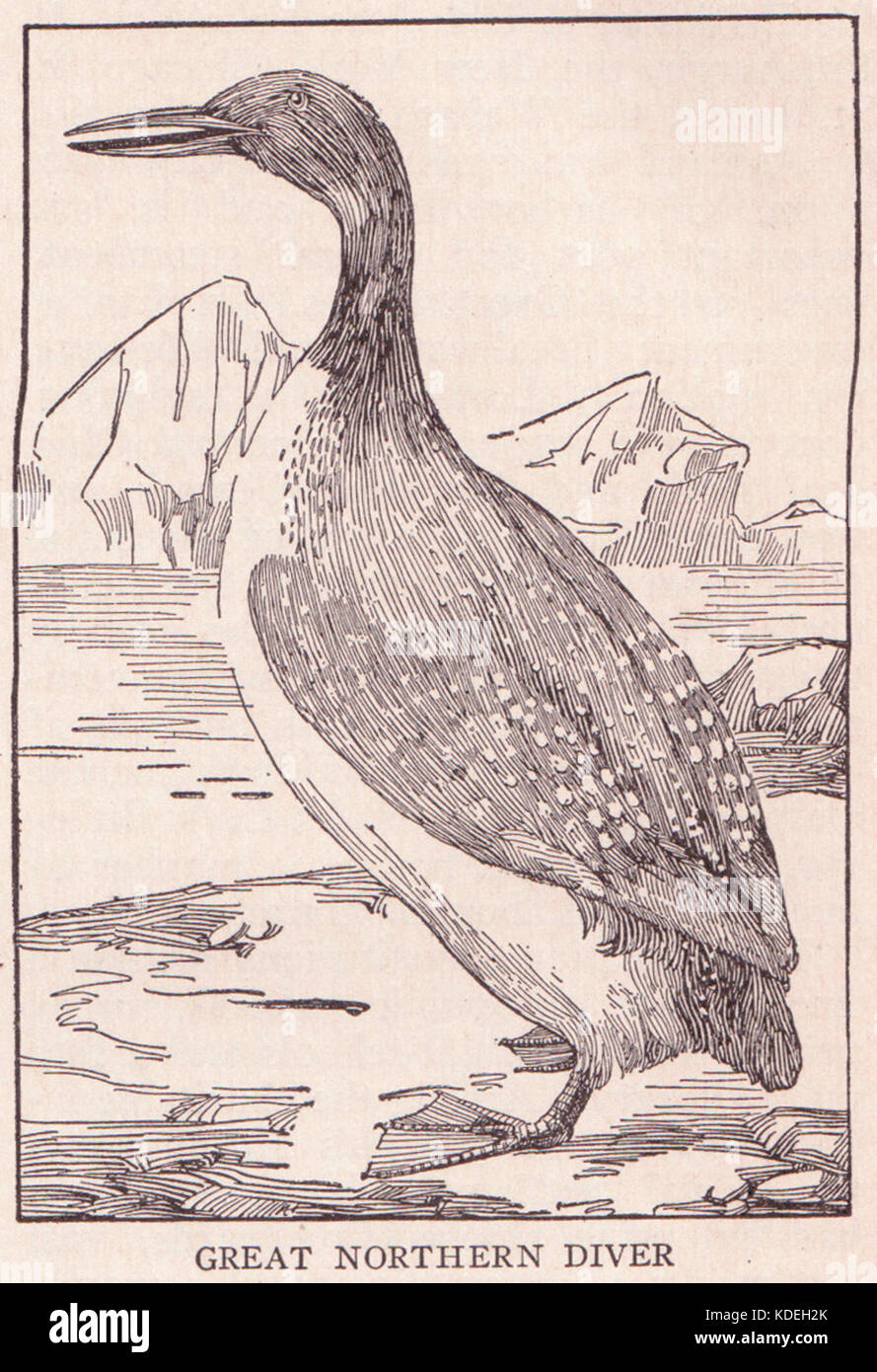 This page from a historical publication features an illustration or ...