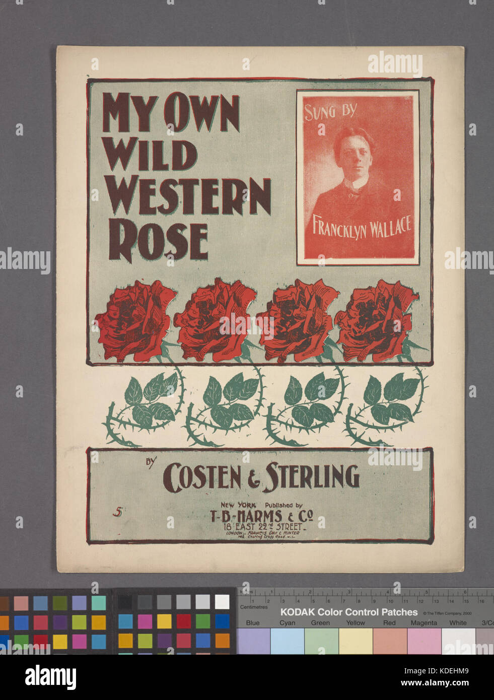 My own wild Western Rose (NYPL Hades 609122 1257105 Stock Photo - Alamy