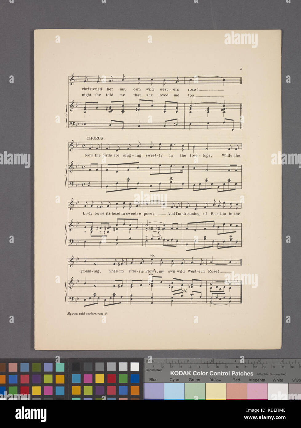 Western visual culture hi-res stock photography and images - Alamy