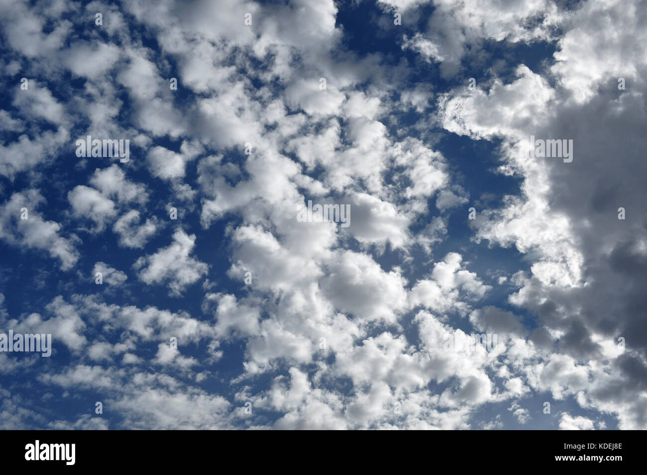 clouds on blue sky Stock Photo - Alamy
