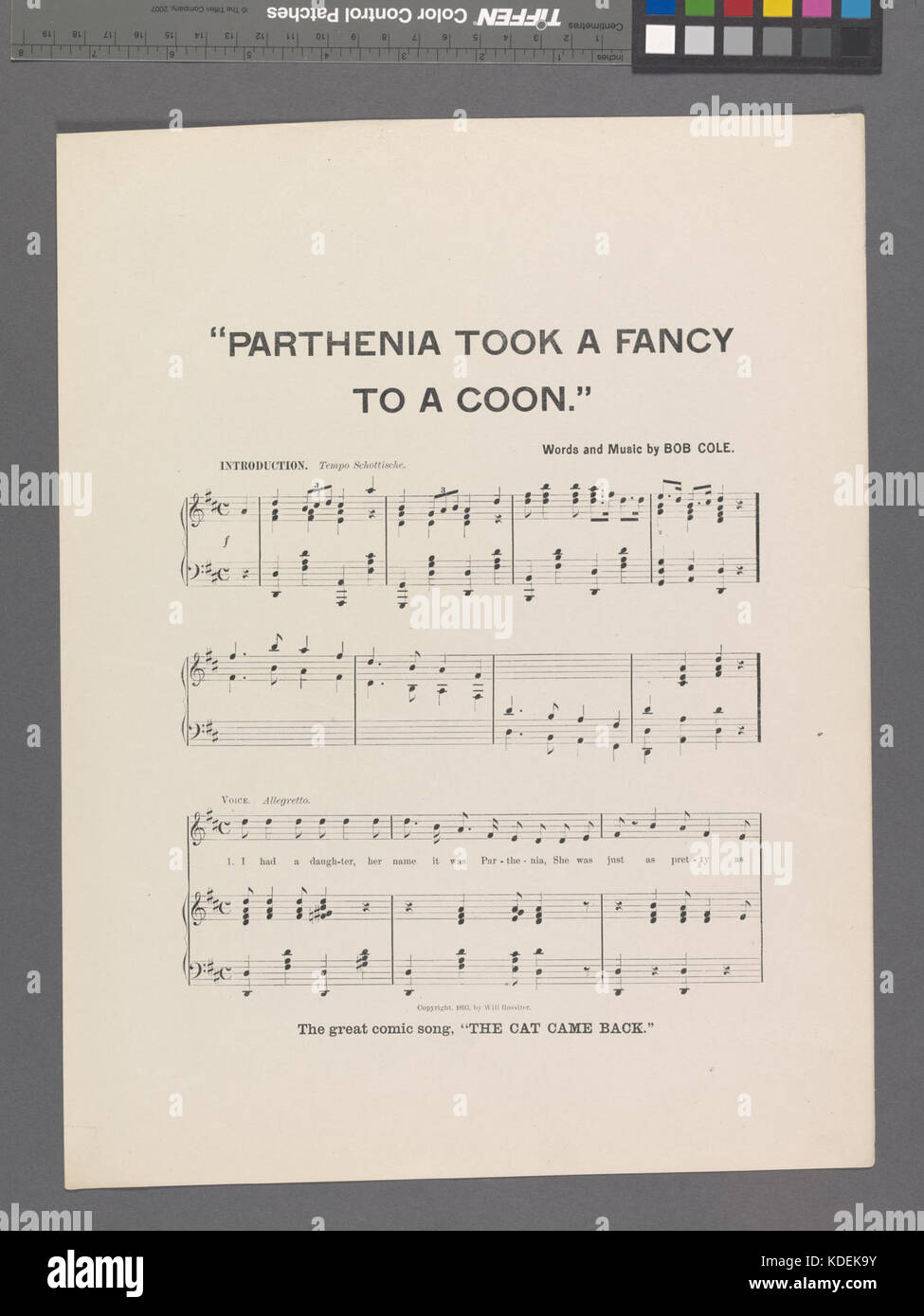 Parthenia took a fancy to a coon (NYPL Hades 449003 1692475 Stock Photo ...