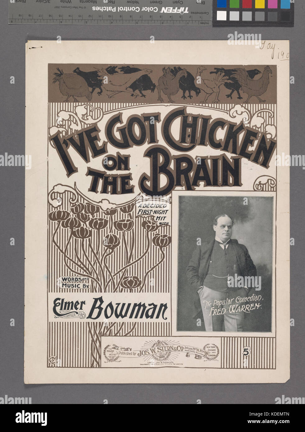 Old chicken brain hi-res stock photography and images - Alamy